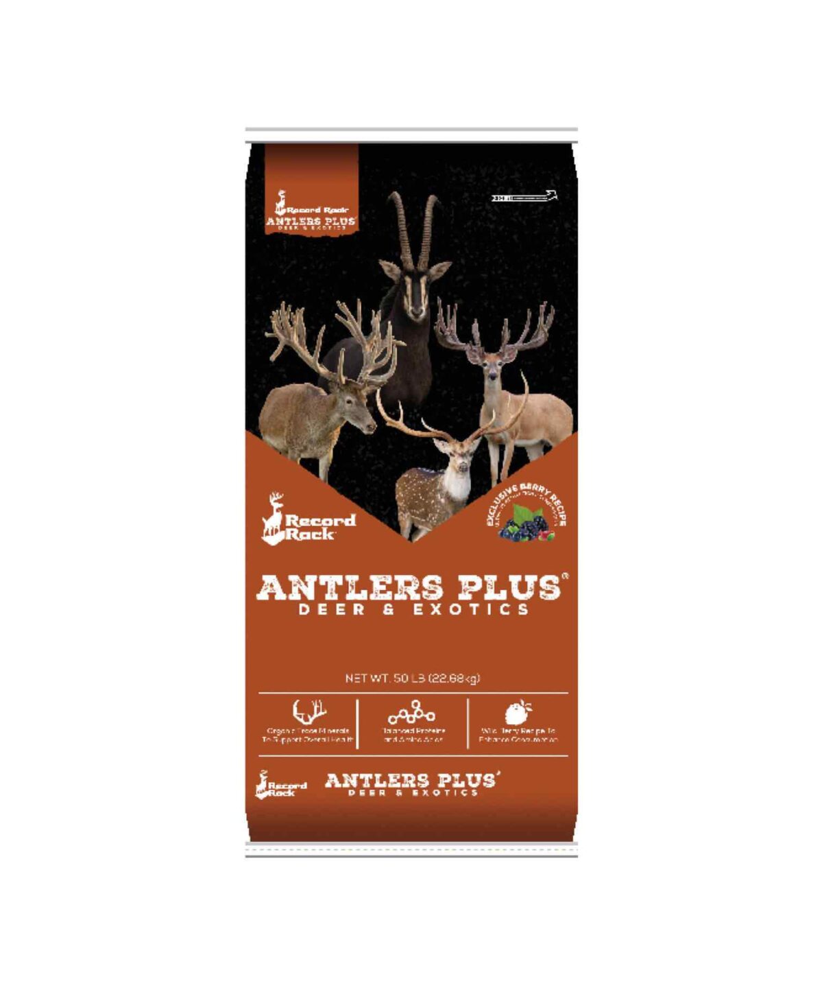 Products | Record Rack Deer Feed