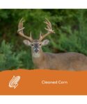 Deer Corn | Record Rack Deer Feed