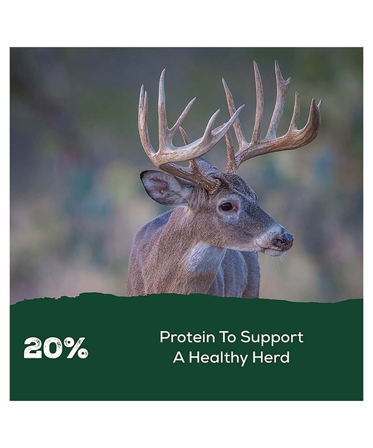 Sportsman 20 | Record Rack Deer Feed